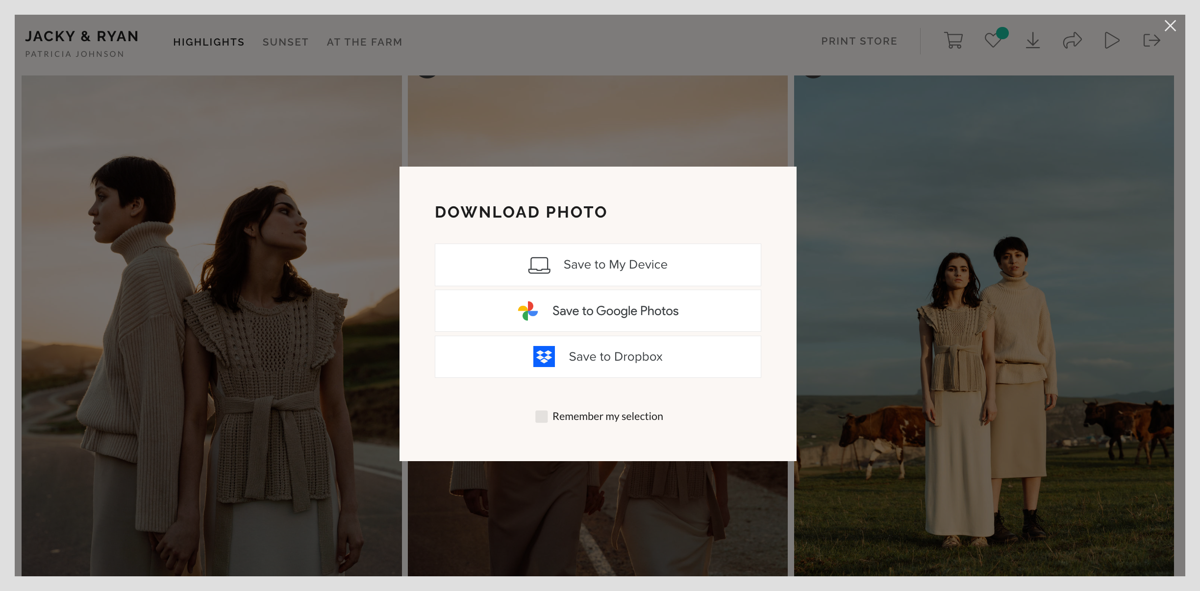 Limiting Free Downloads and Other Restrictions – Pixieset - Help Center