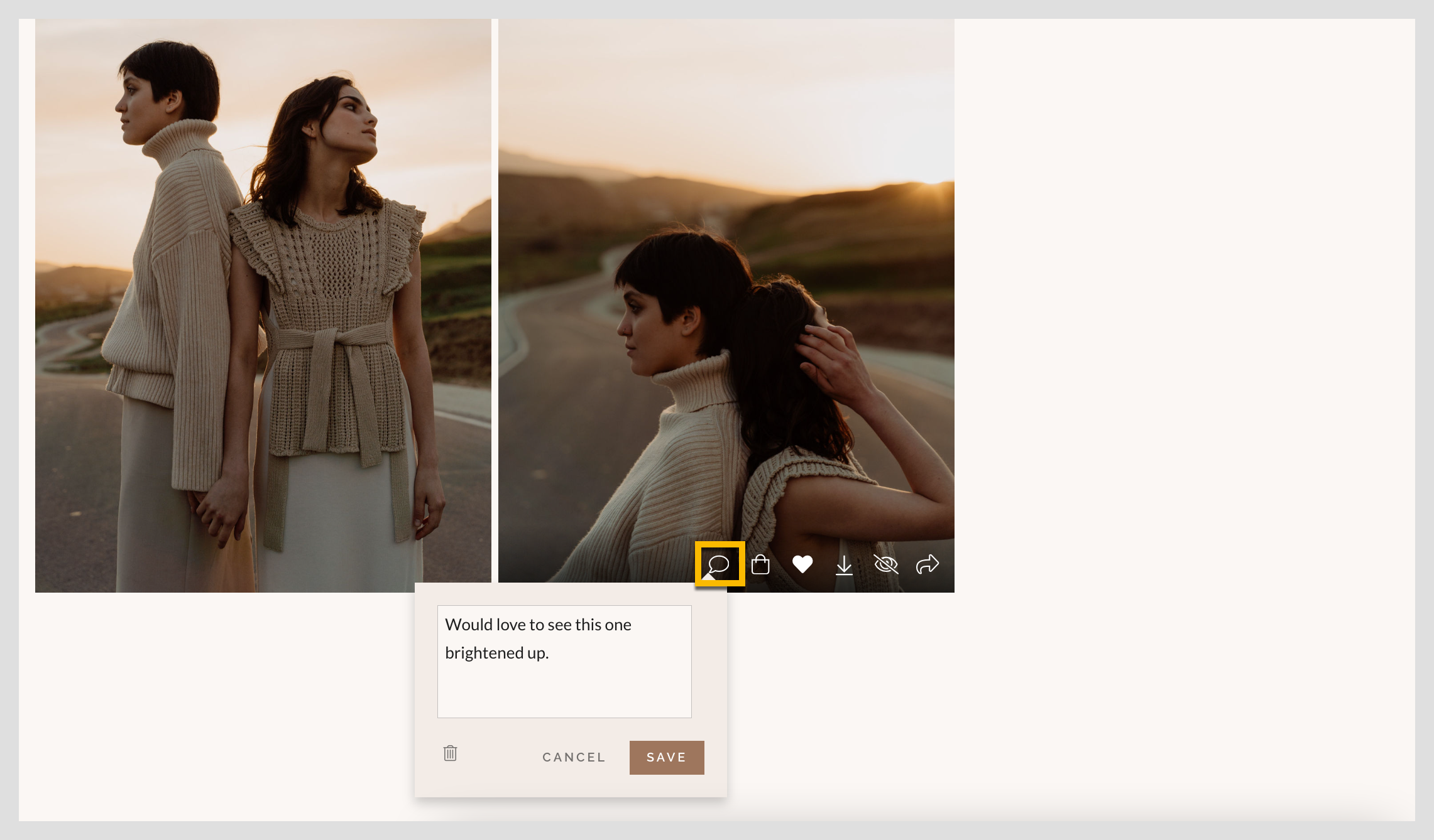 How does my client add a note or a comment on a photo? – Pixieset ...