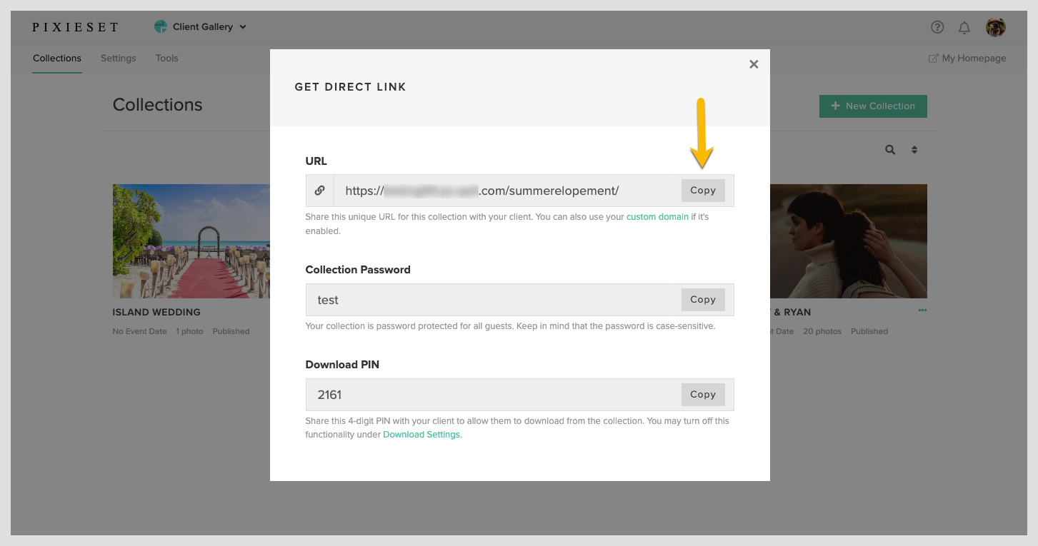 Sharing a Collection with your Client – Pixieset - Help Center